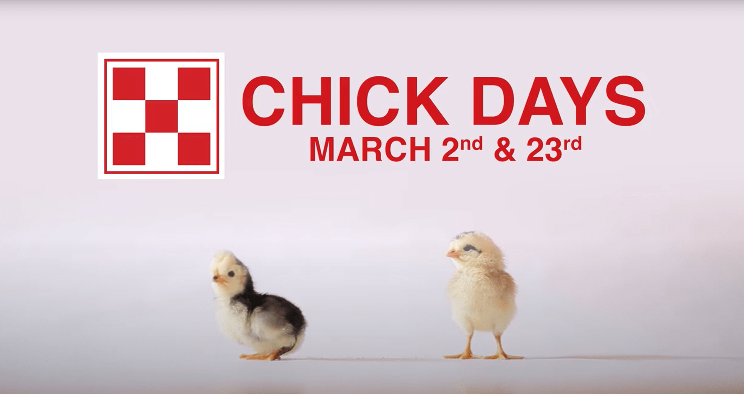 Deals & Promotions - Four Star Supply, Inc.